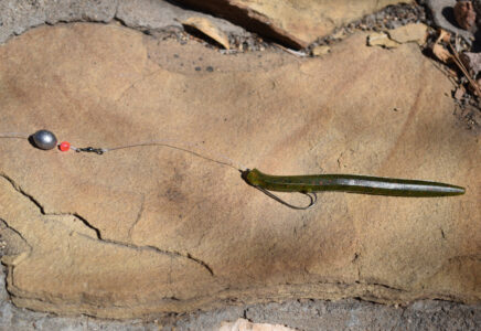 How To Rig And Fish The Carolina Rig | Kayak Angler