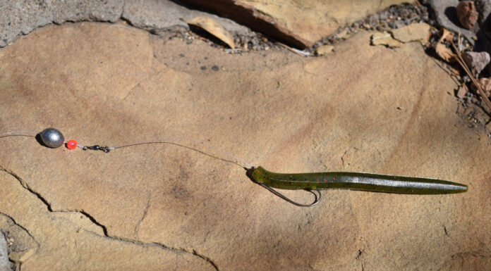 How To Rig And Fish The Carolina Rig | Kayak Angler
