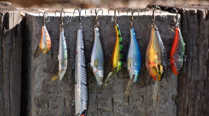 Types Of Fishing Lures—And How To Use Them | Kayak Angler